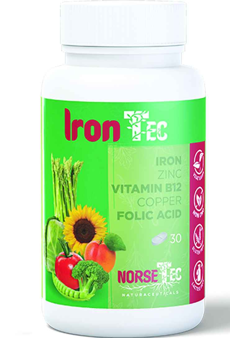 IronTec – Norsetec